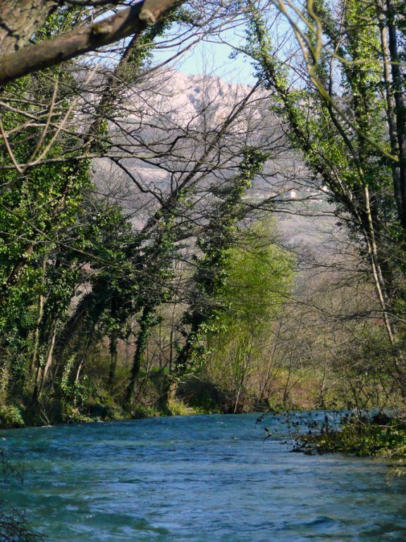 Short guide through the river Rižana - V sožitju z naravo