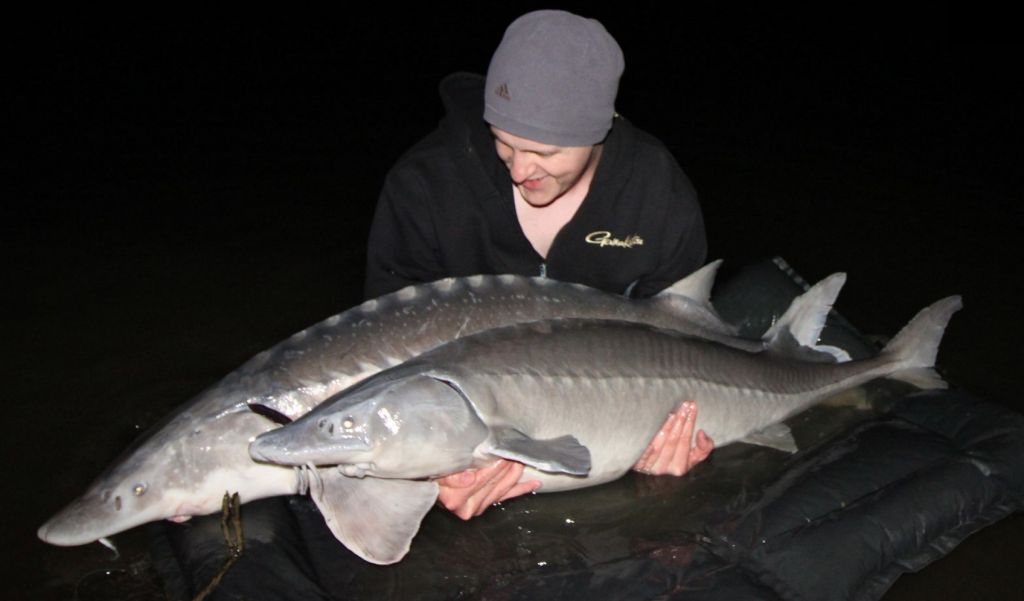 keciga-jeseter - V sožitju z naravo