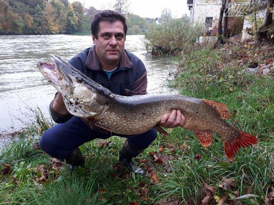 Velika voda, velika riba - V sožitju z naravo